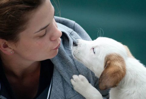 Grieving the Loss of a Pet - Brynna Connor MD